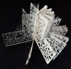lasercut books